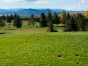 Photos - Fox Ridge Golf Course
