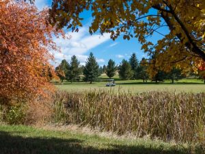 Photos - Fox Ridge Golf Course