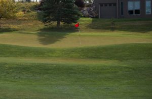 Golf Lessons - Fox Ridge Golf Course